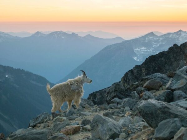 12 Amazing Hidden Gems in Washington Only Locals Know About