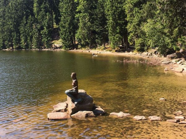 The Most Beautiful Nature in Germany? Start with These 13 Spots