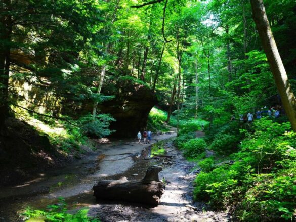 12 Magical Hidden Gems in Indiana That Feel Like a Fairytale