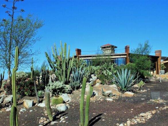 21 Hidden Gems in Mexico: Off The Beaten Path Travel Guide (2026)