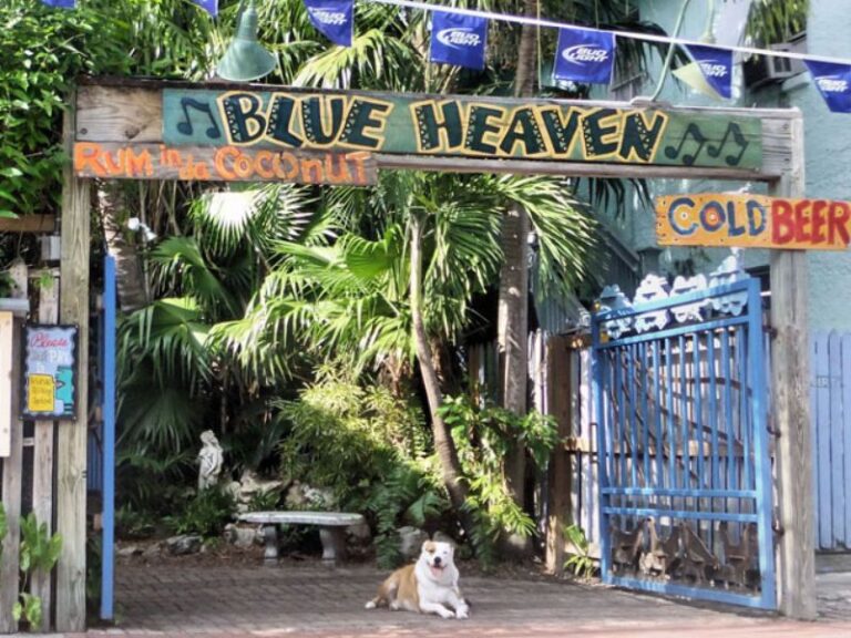 15 Awesome Hidden Gems in Key West You Won’t Believe Exist - Global ...