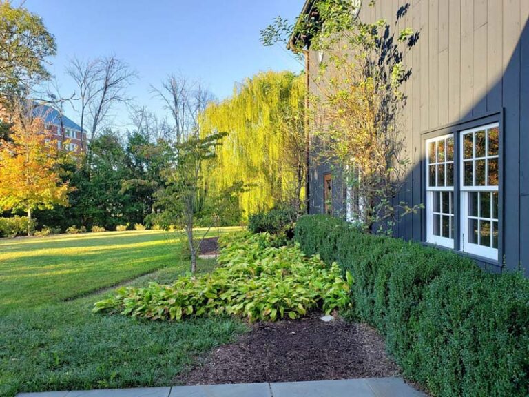 12 Expat-Friendly Places in Northern Virginia That Feel Like Home