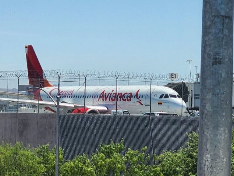 Top 10 Airlines in Brazil That Offer the Best Experience in 2025 ...