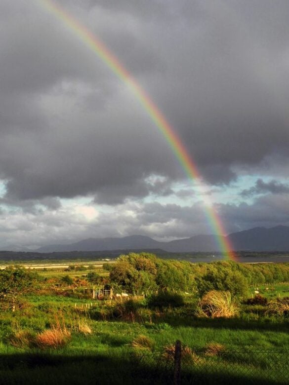 10 Best Airlines for Smooth & Budget-Friendly Flights to Ireland ...
