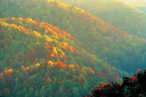 The 12 Most Beautiful Places to Live in Tennessee Mountains (2025)