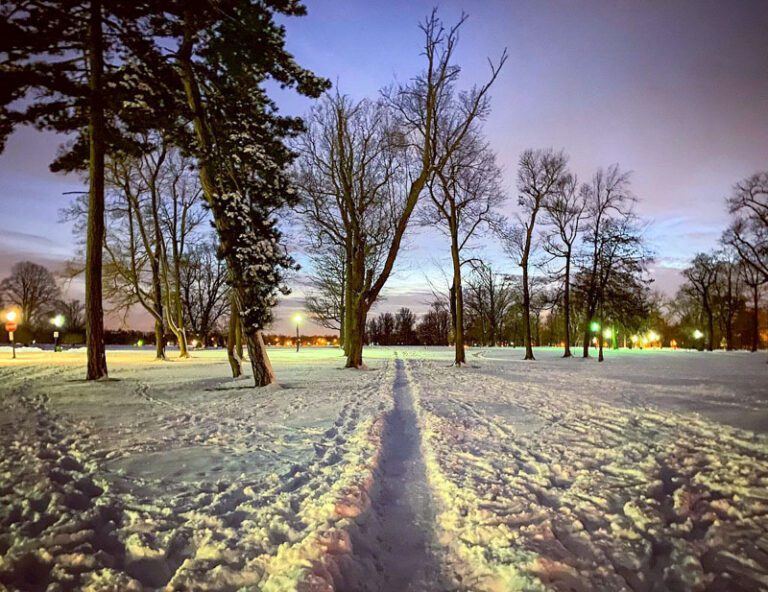 12 AUTHENTIC Things to Do in Buffalo, NY at Night (Like a Local!)