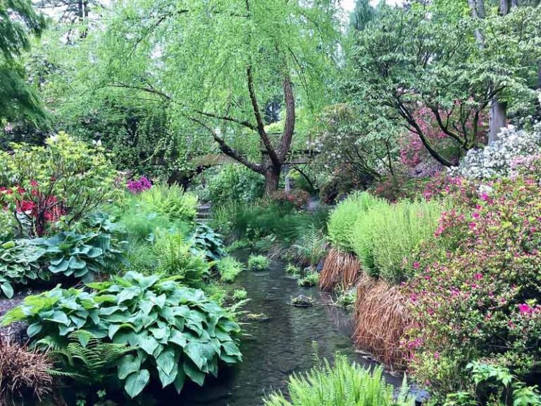 12 Amazing Districts in Portland, Oregon to Live Your Best Life