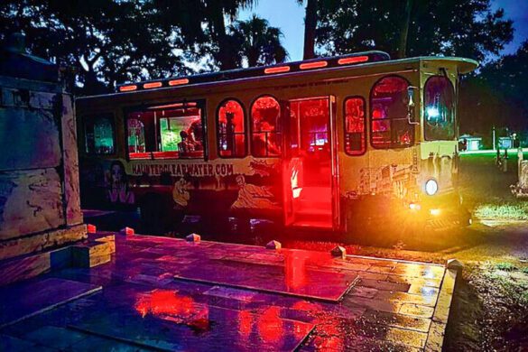 12 EPIC Things to Do in Clearwater at Night (Local Party Guide!)