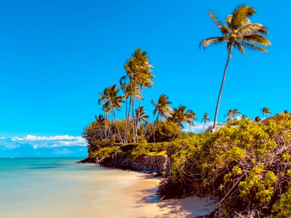 10 DREAMY Clear Water Beaches You Won't Believe Are in the US