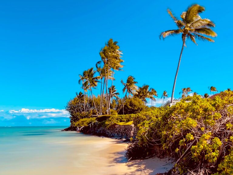 10 DREAMY Clear Water Beaches You Won't Believe Are in the US