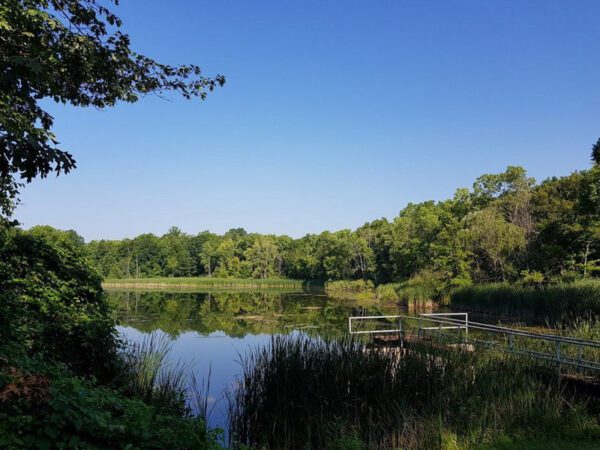 12 Stunning Areas in Detroit You’ll Want to Move to Immediately ...