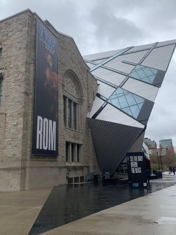 13 Fun Things to Do in Toronto for Young Adults (Ultimate Guide)