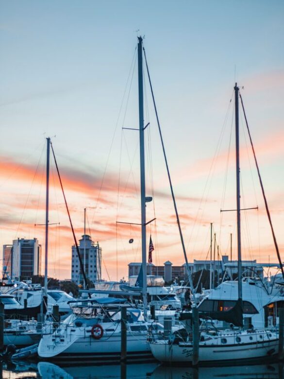 12 Iconic Sarasota Attractions & Activities for Young Adults to Add to ...