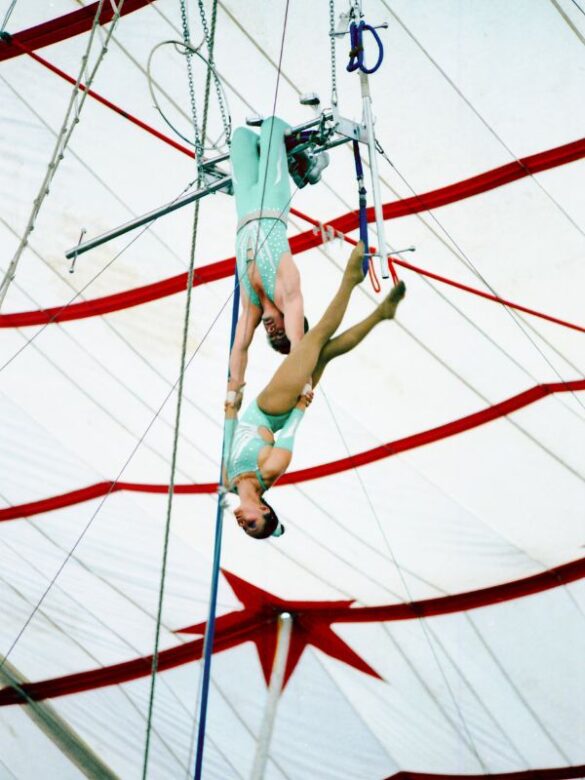 12 Iconic Sarasota Attractions & Activities for Young Adults to Add to ...