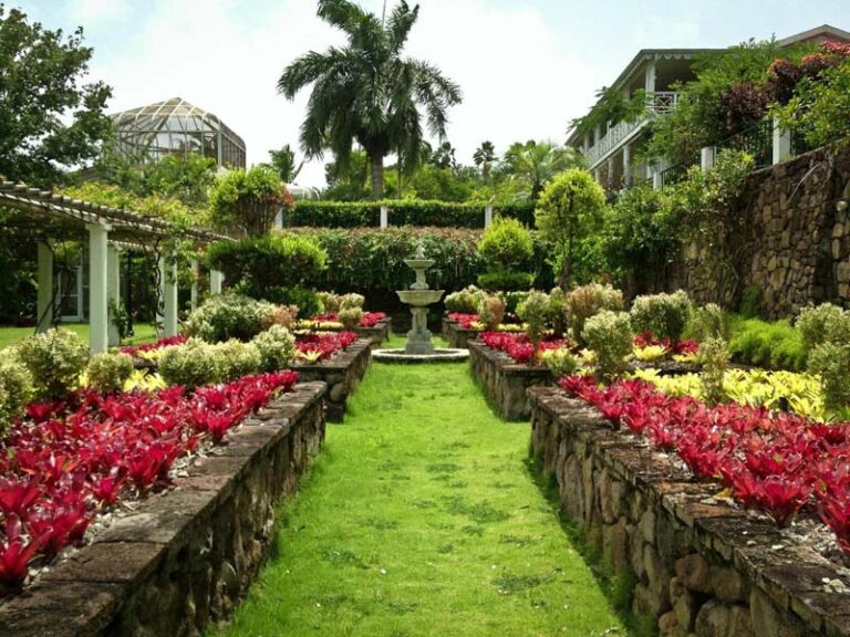 Top 15 Spots in St. Kitts and Nevis for the Ultimate Local Experience