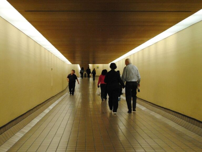 Top 13 Spots for Young Adults in Houston for the Ultimate Local Experience