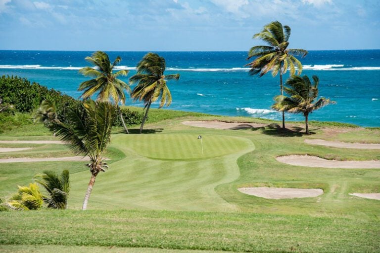 Top 15 Spots in St. Kitts and Nevis for the Ultimate Local Experience