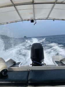 12 Unique Tioman Island (Malaysia) Experiences for an Unforgettable Trip