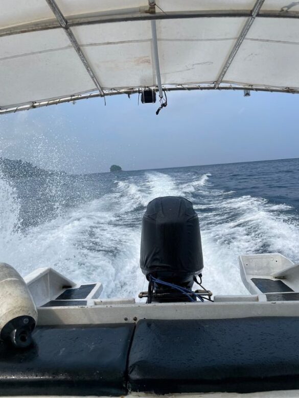 12 Unique Tioman Island (Malaysia) Experiences for an Unforgettable Trip