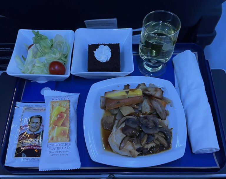 Copa Business Class Review: Dreams Seats, Routes & Tips (2026) - Global ...