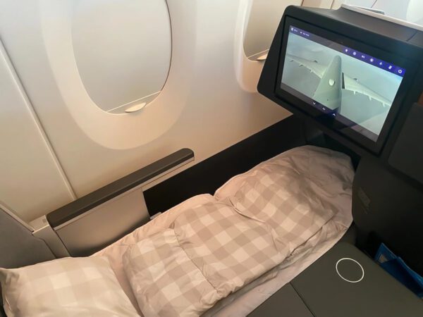 Everything You Need to Know About SAS Business Class in 2026 - Global ...