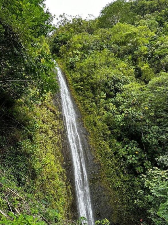 12 Stunning Hidden Gems in Hawaii That Will Leave You Speechless