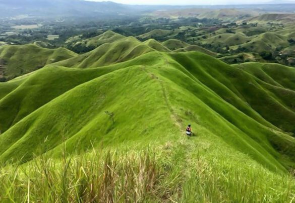 13 Must-See Bohol Attractions & Unique Activities for Nature Lovers ...