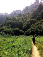 12 Unique Tioman Island (Malaysia) Experiences for an Unforgettable Trip