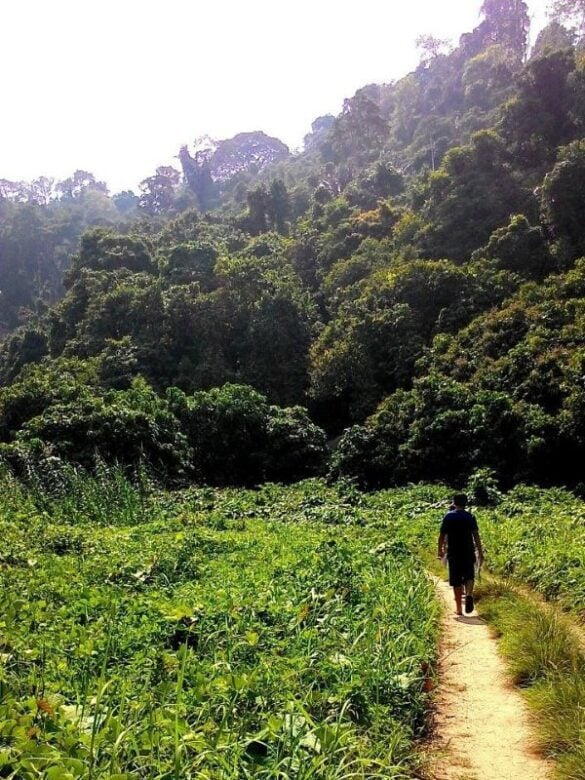 12 Unique Tioman Island (Malaysia) Experiences for an Unforgettable Trip