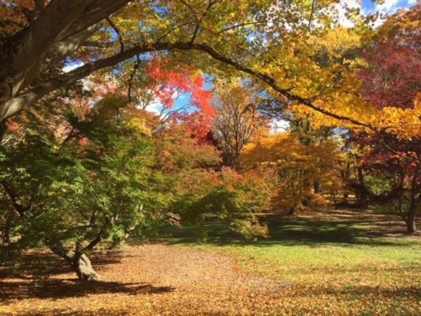 16 Hidden Gems in Boston for History, Food & Local Vibes