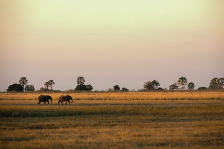 7 AMAZING Small Group Nature Vacations in 2025