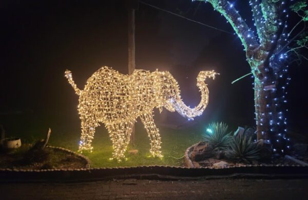 12 UNREAL Things to Do in Johannesburg at Night (2025 Guide)