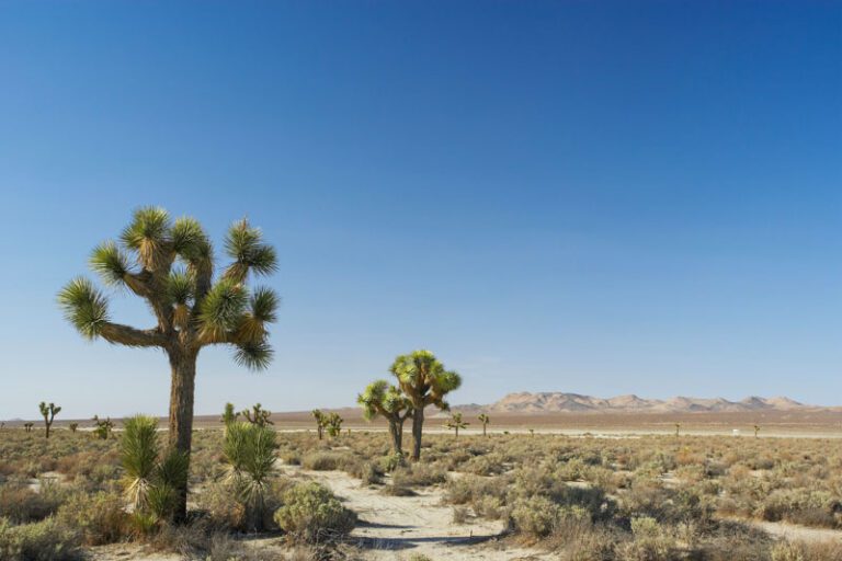 7 AMAZING Small Group Nature Vacations in 2025