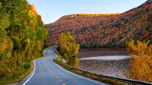 Top 7 Fall Foliage Tours in New England for 2026
