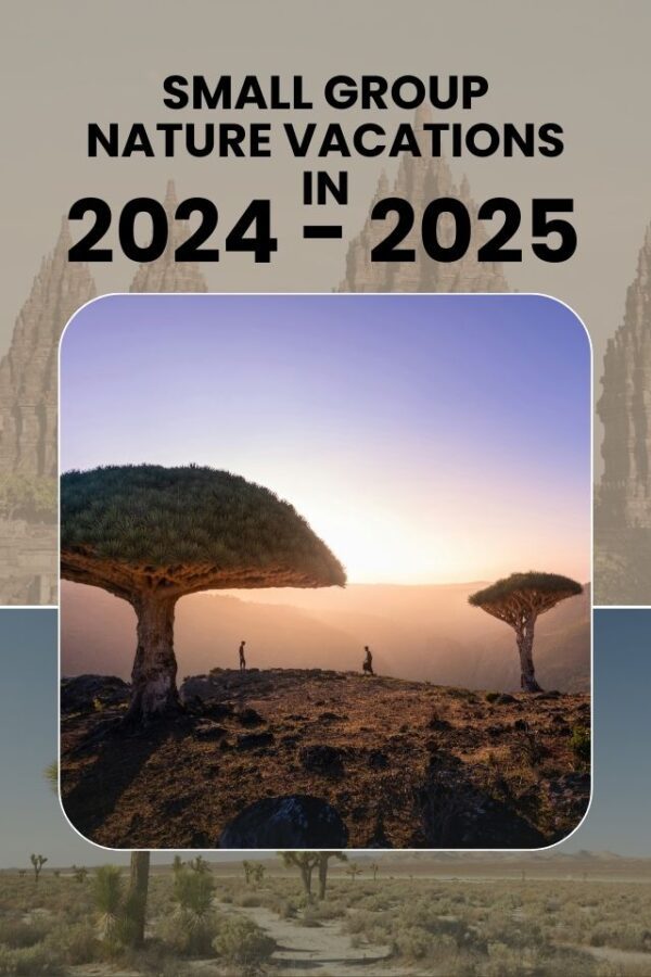 7 AMAZING Small Group Nature Vacations in 2025