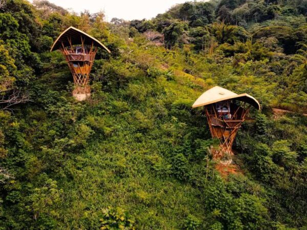 Top 10 Treehouse Airbnb Locations in the World (2024-2025) - Global ...
