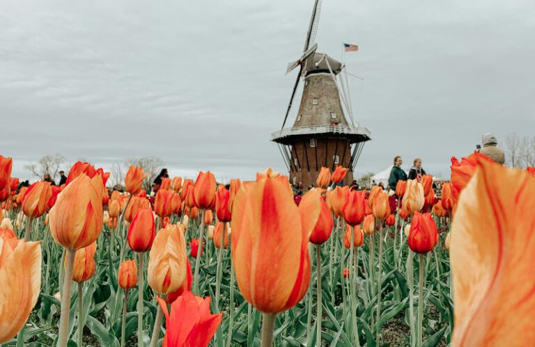 Why Fly Across the Atlantic? These 13 U.S. Towns Feel Like Europe ...