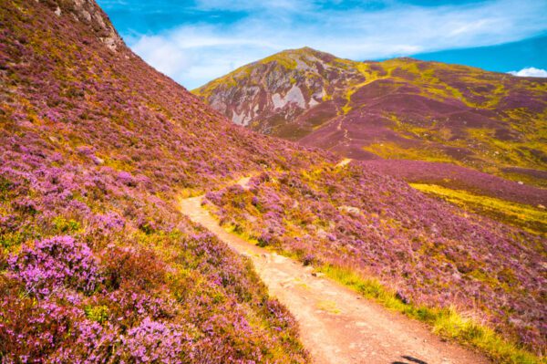 12 AMAZING Places in the Scottish Highlands You Need to See