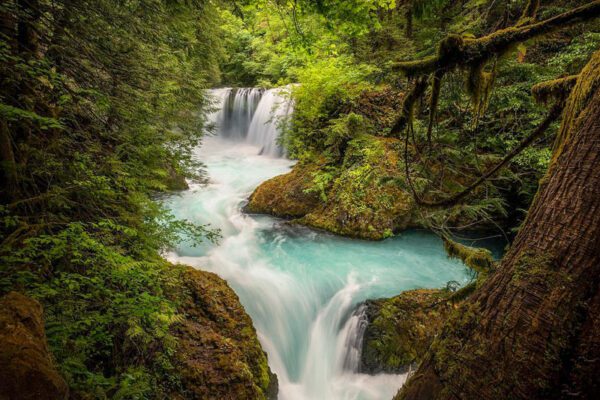 My 30-Day Pacific Northwest Road Trip (The Best Guide on the Web ...