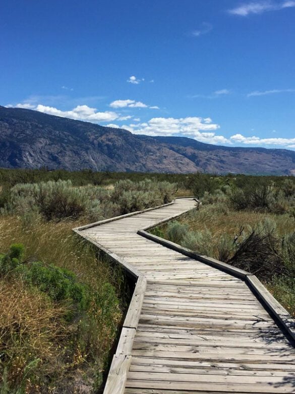 Osoyoos, British Columbia Bucket List: 10 Fun Things to Do & See ...