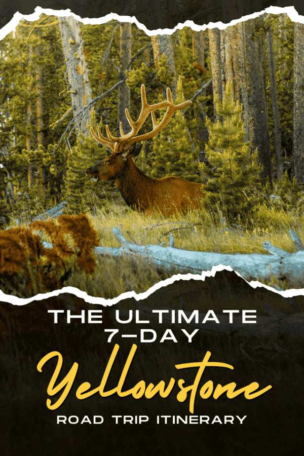 The PERFECT 7-Day Yellowstone Road Trip Itinerary - Global Viewpoint